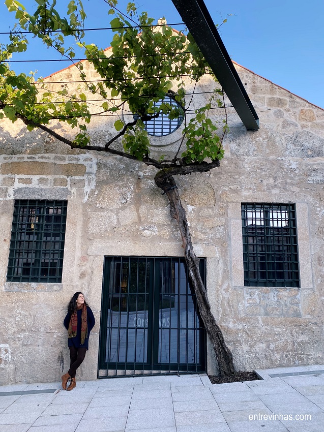 World of Wine: o novo espaço para amantes de vinho no Porto